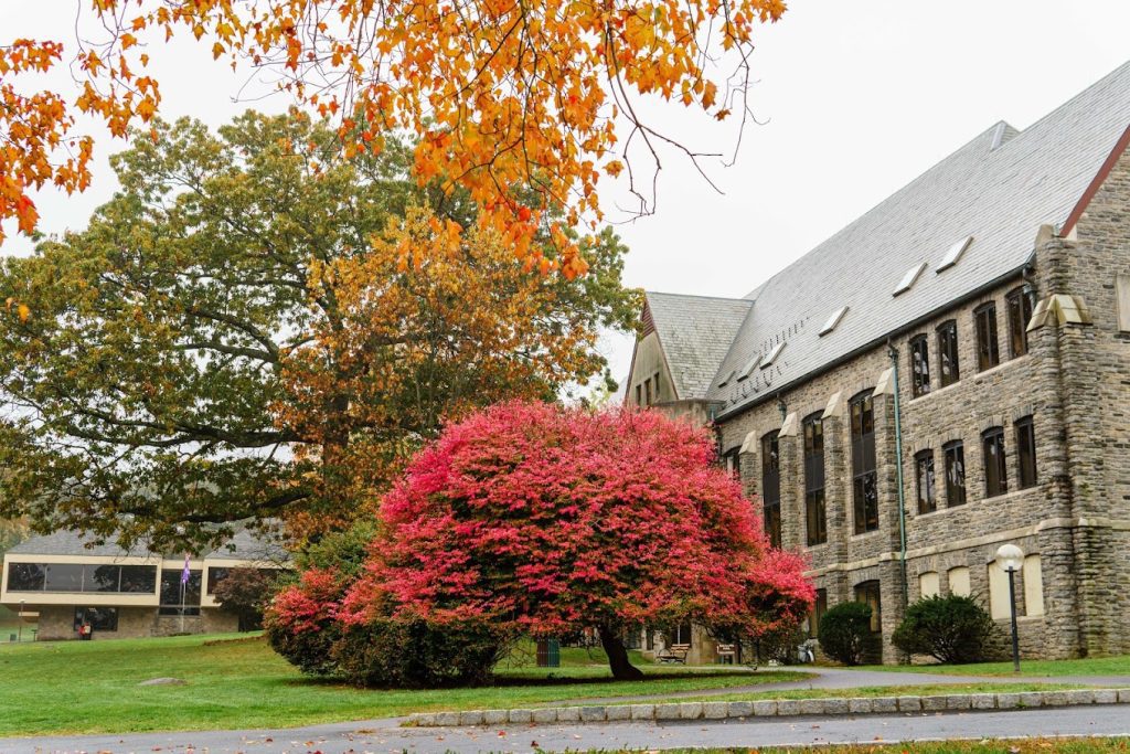 The Masters School — освіта, що формує розум, характер і голос - vdoma.us